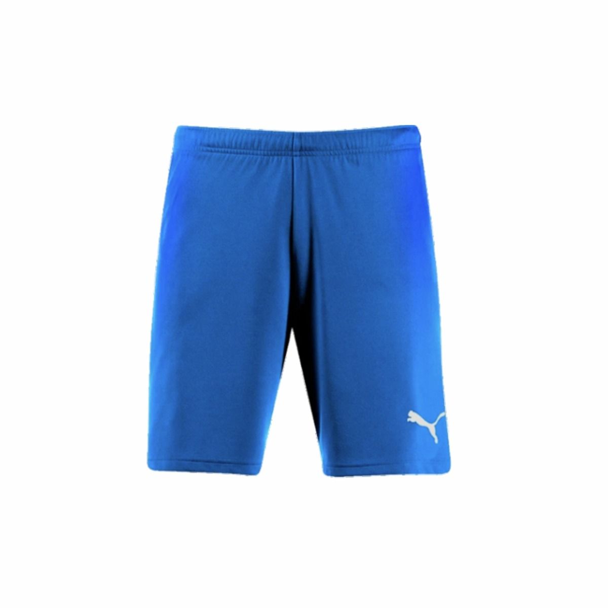 CVYSA Puma Team Rise Short – Best Buy Soccer