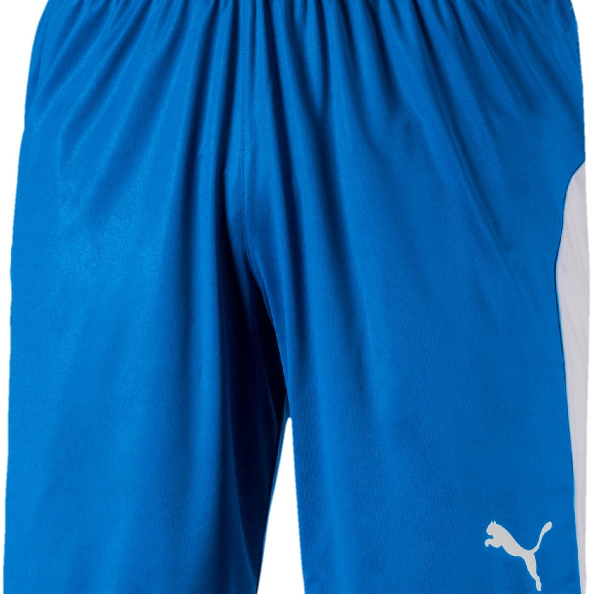 PUMA Liga Shorts Electric Blue | Best Buy Soccer